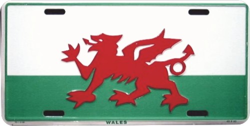 World Flags Auto Plates & Car Tags